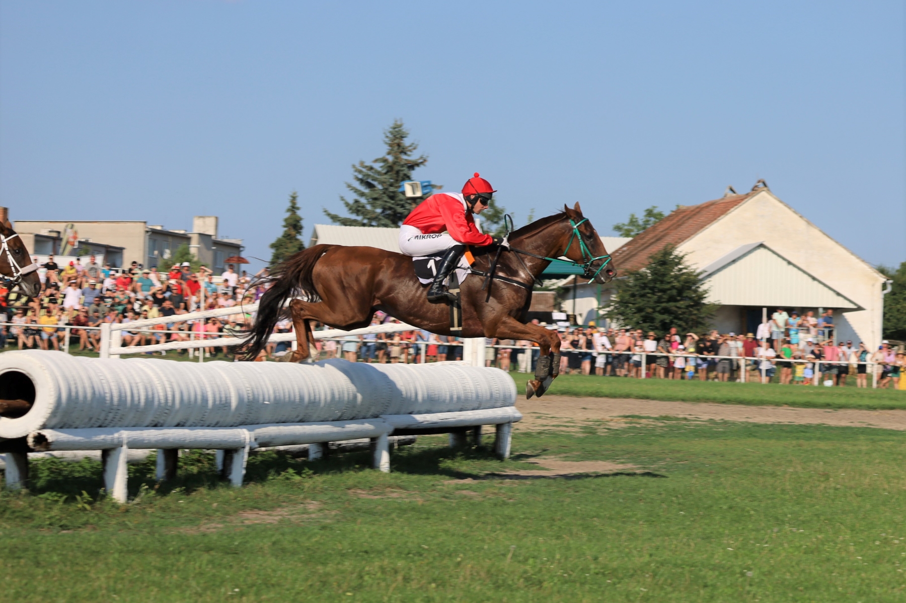 Ferino opäť víťazom senickej steeplechase - zavodisko.sk